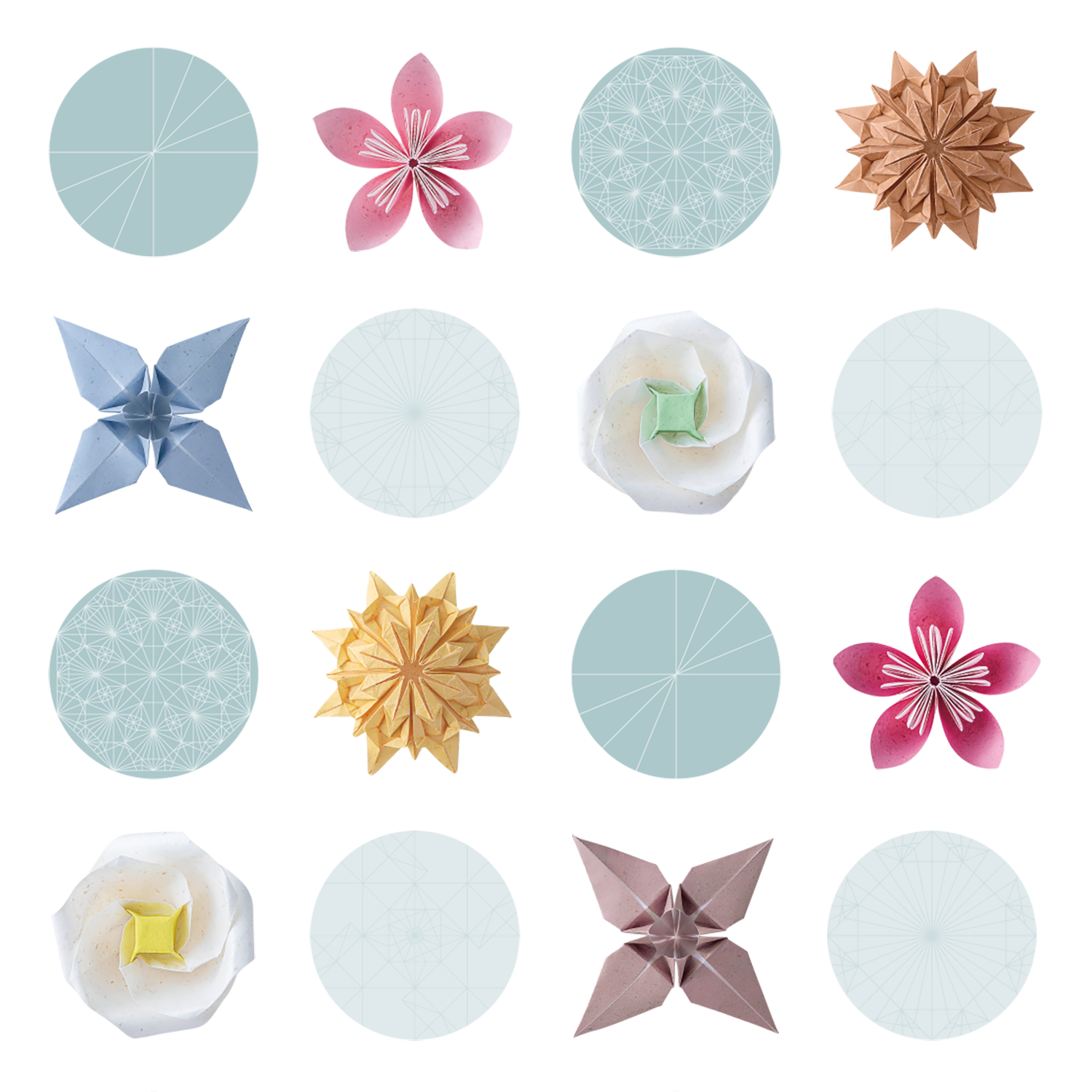 Menicon Malaysia Official Website